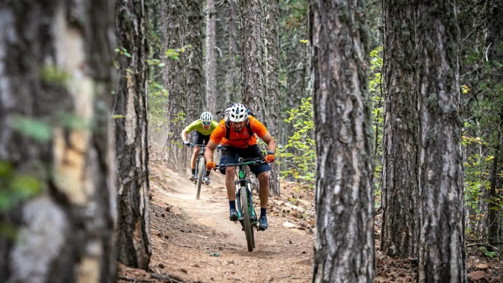 Top Mountain Biking Routes in Cyprus